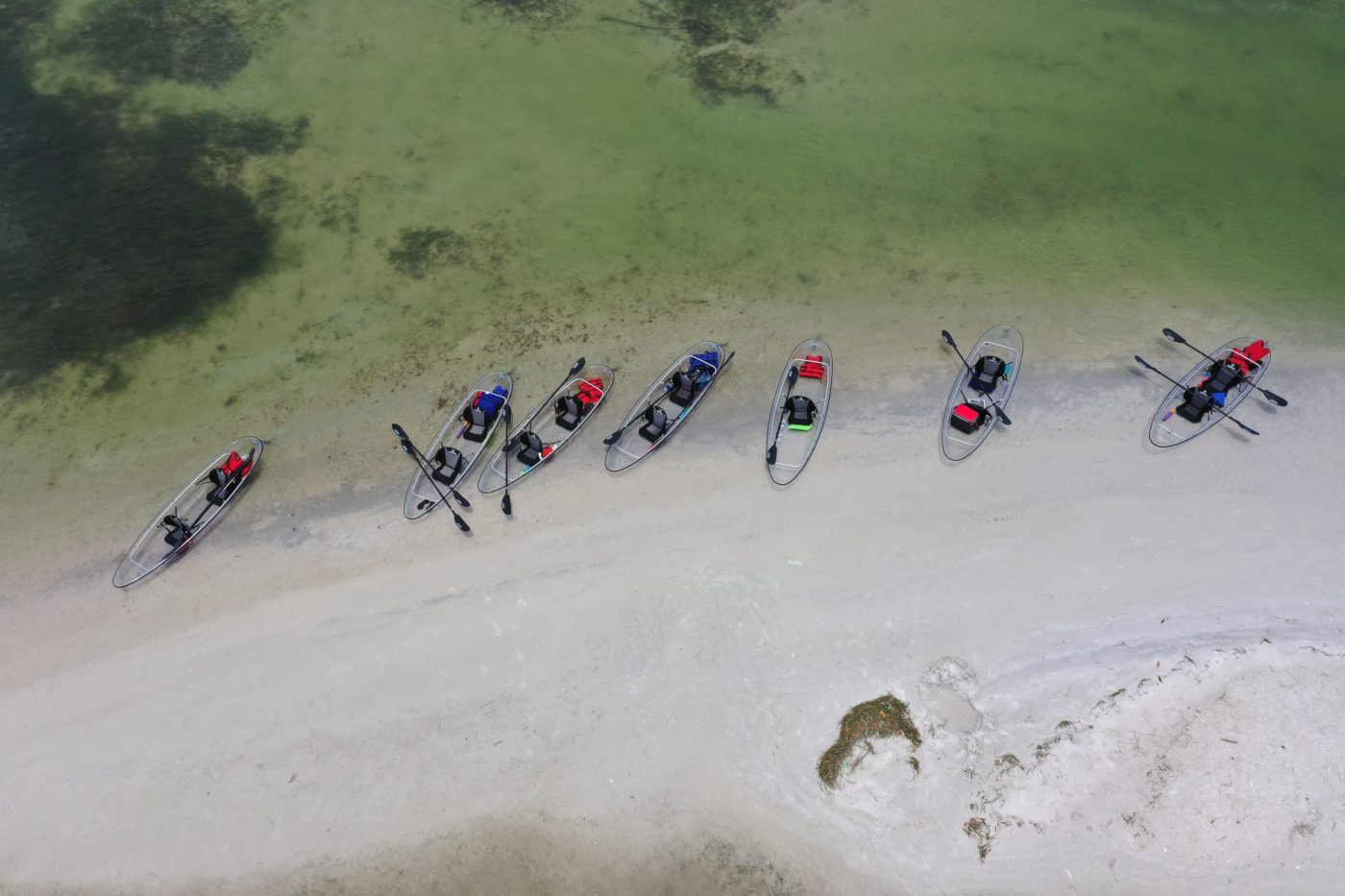 Dolphins, Manatees, And MORE At Shell Key Preserve! | Get Up And Go ...