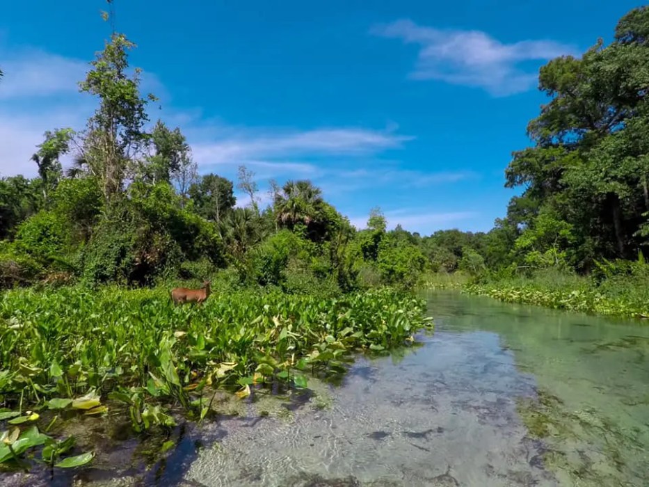 5 Simple Ways To Unplug & Recharge Outside In Florida | Get Up And Go ...