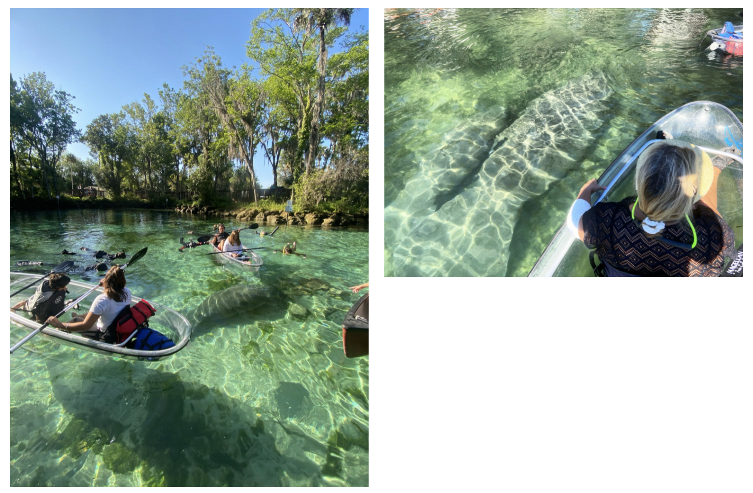 Kayaking in Crystal River
