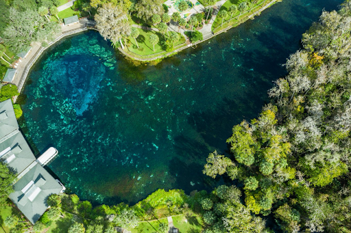How to Plan a Trip to Silver Springs | Get Up And Go Kayaking