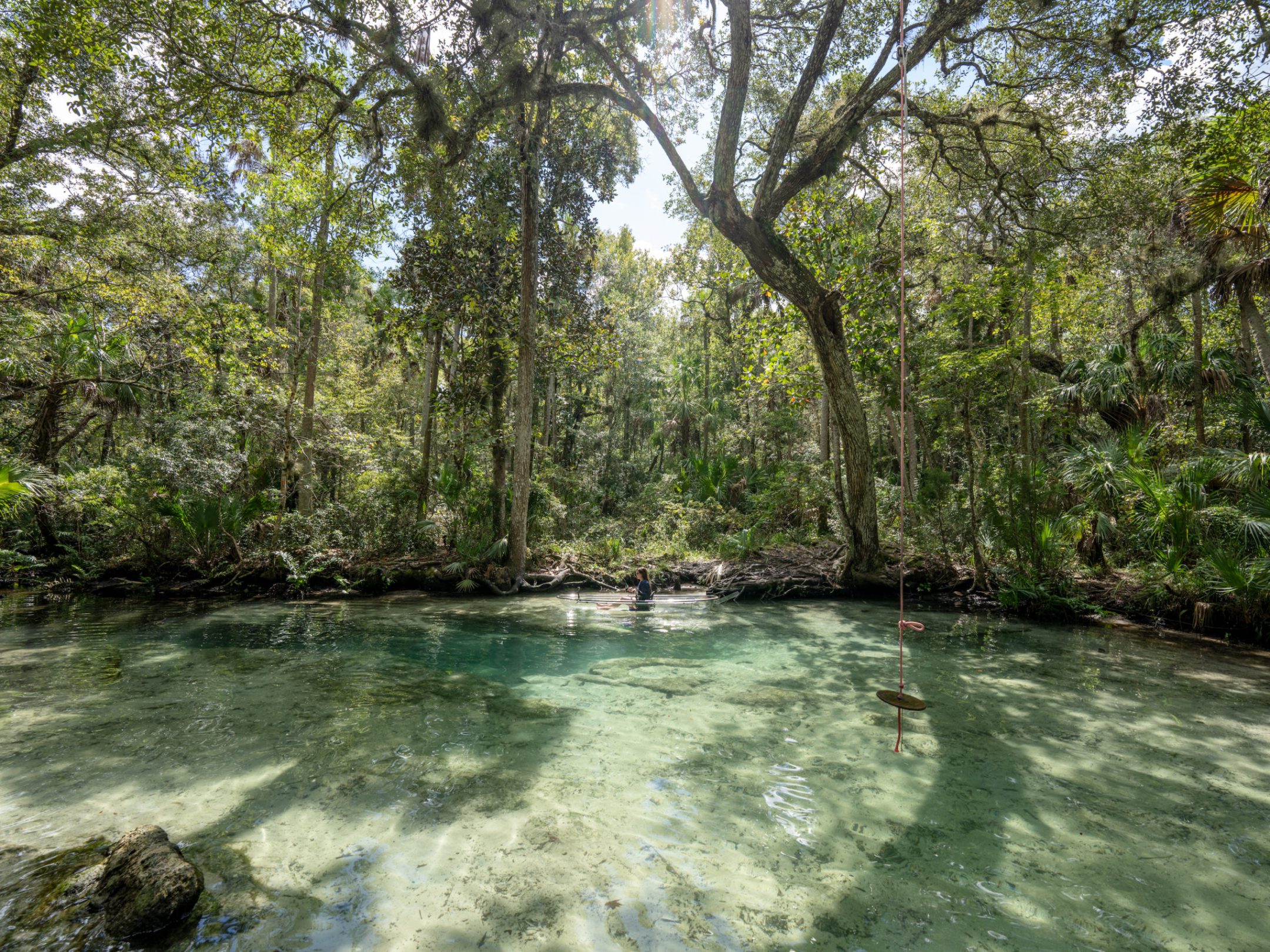 Chaz River, FL Clear Kayak Tours | Get Up and Go Kayaking