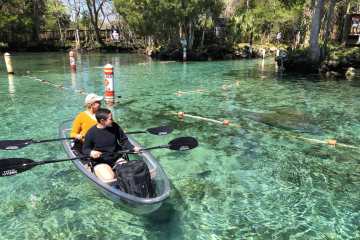 Crystal River Manatee Kayak Tour | Get Up and Go Kayaking