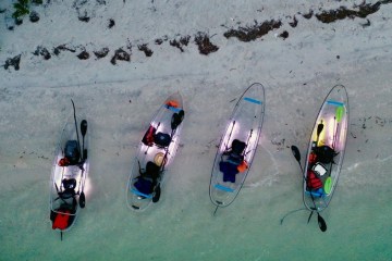 Shell Key Preserve Glow Kayak Tour | Get Up and Go Kayaking