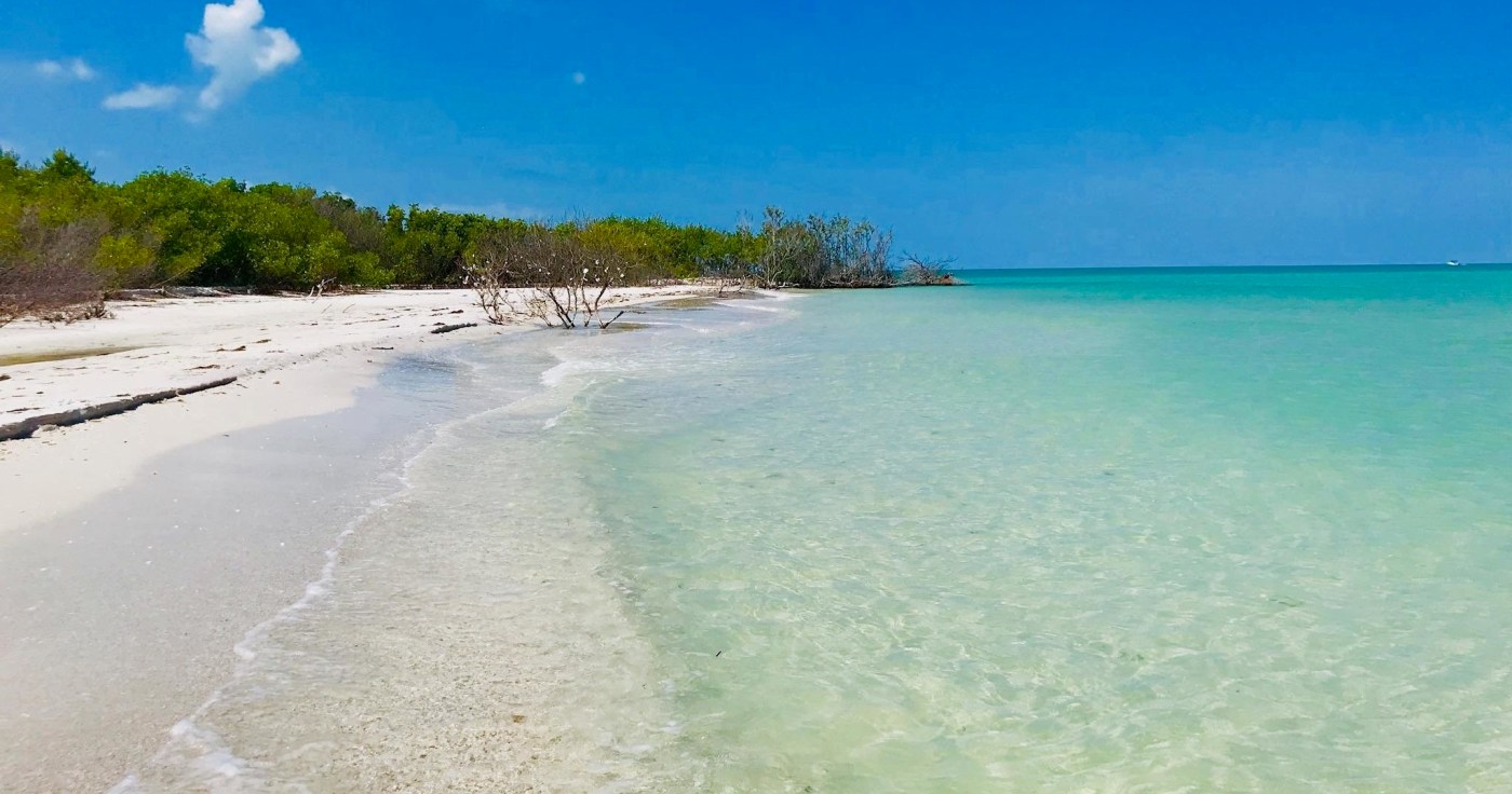 Shell Key Preserve Kayak Tours | Get Up and Go Kayaking