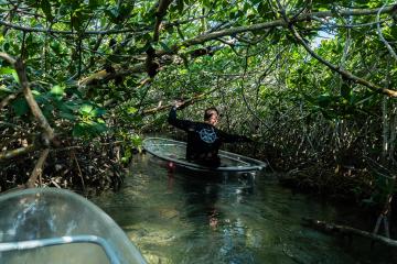 Sugarloaf Key FL Clear Kayak Tour | Get Up and Go Kayaking