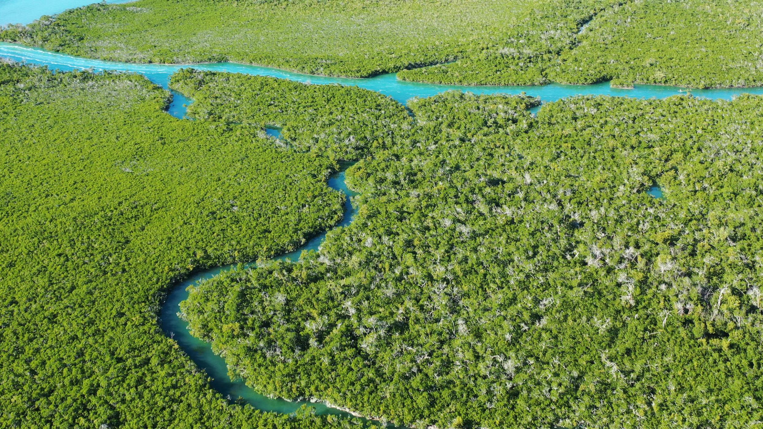 Sugarloaf Key FL Clear Kayak Tour | Get Up and Go Kayaking