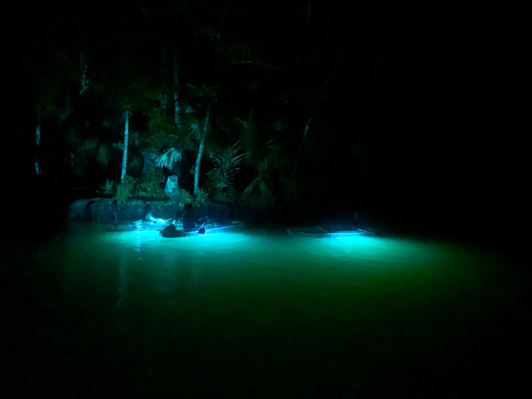 Weeki Wachee Nightime Kayak Ecotour | Get Up and Go Kayaking