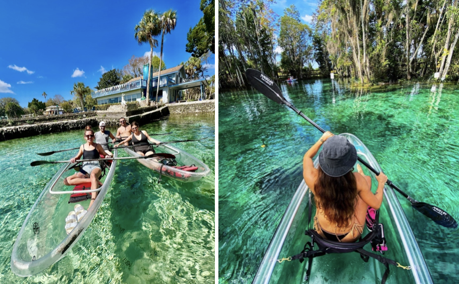 People Are Raving About This Clear Kayak Tour with Manatees! | Get up ...