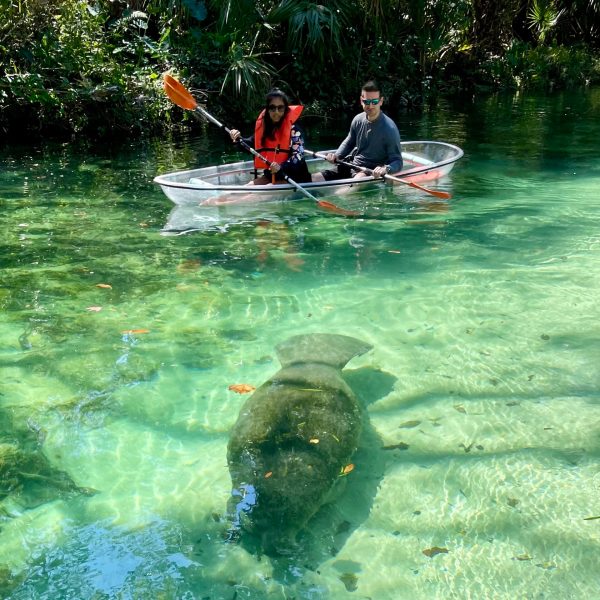 Get Up and Go Kayaking | Top Rated Guided Clear Kayak Tours