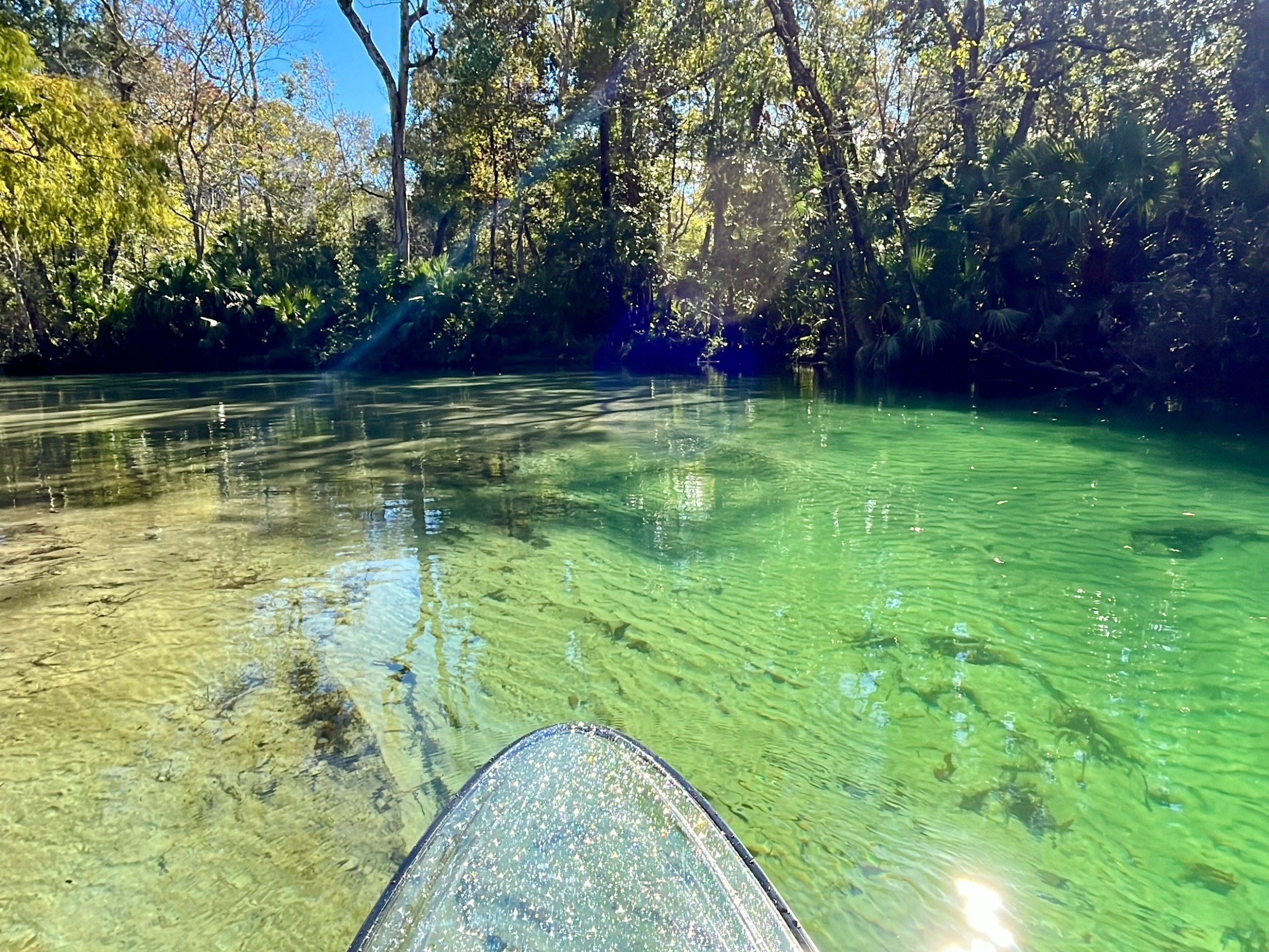 Weeki Wachee, FL Clear Kayak Tours | Get Up and Go Kayaking