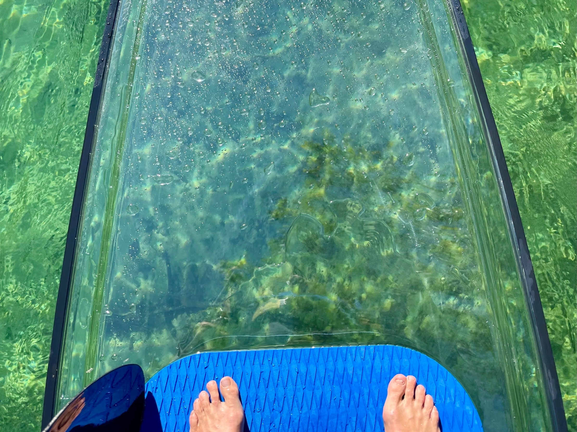 Weeki Wachee, FL Clear Kayak Tours | Get Up and Go Kayaking