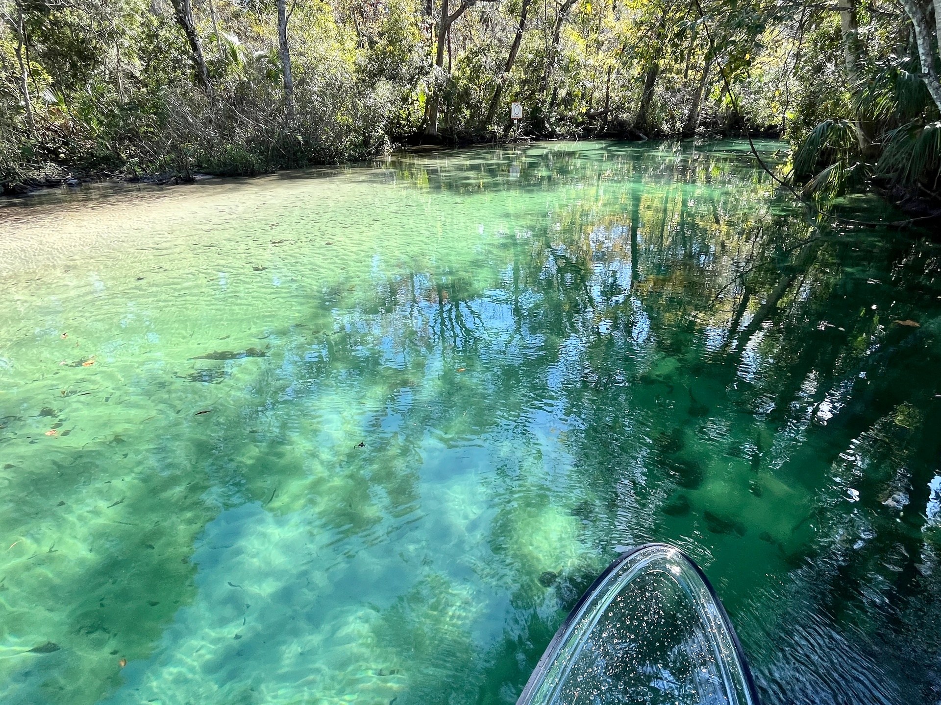 Weeki Wachee, FL Clear Kayak Tours | Get Up and Go Kayaking