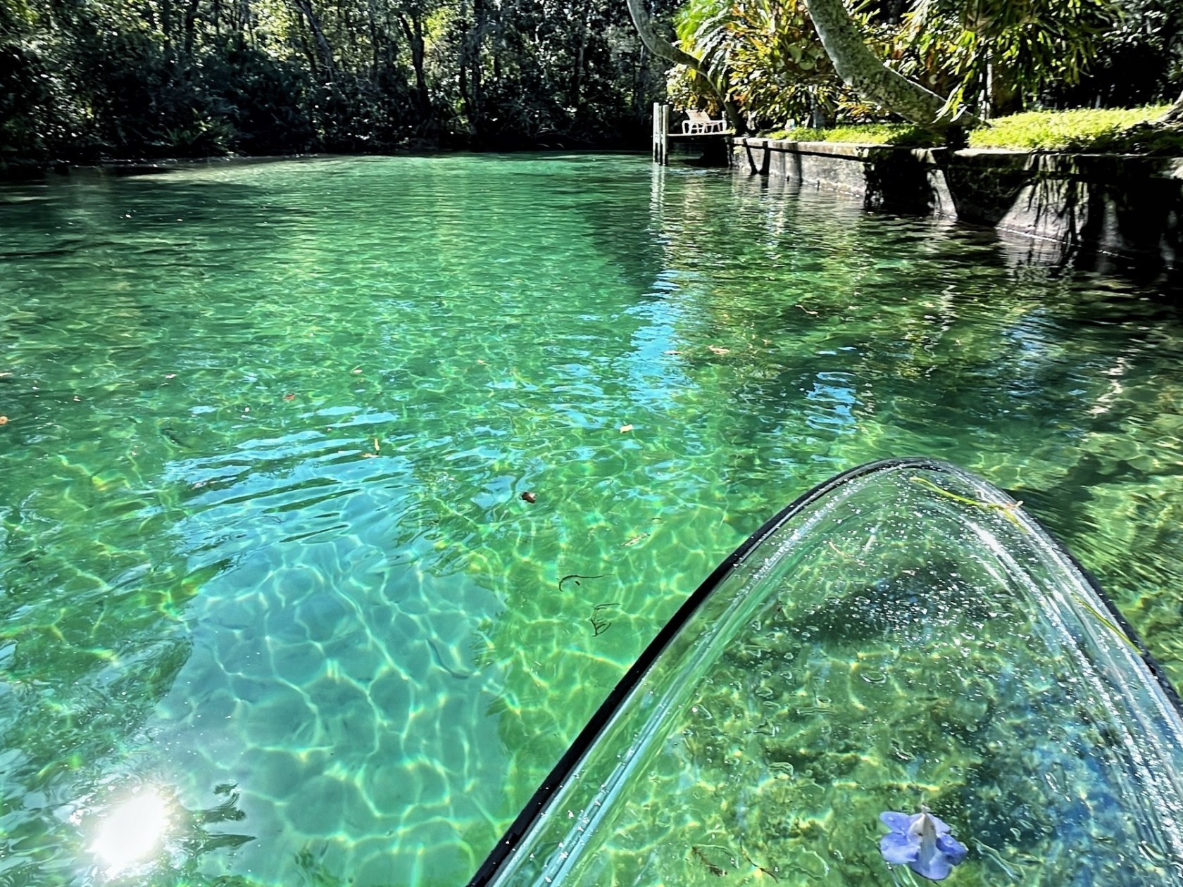 Weeki Wachee, FL Clear Kayak Tours | Get Up and Go Kayaking