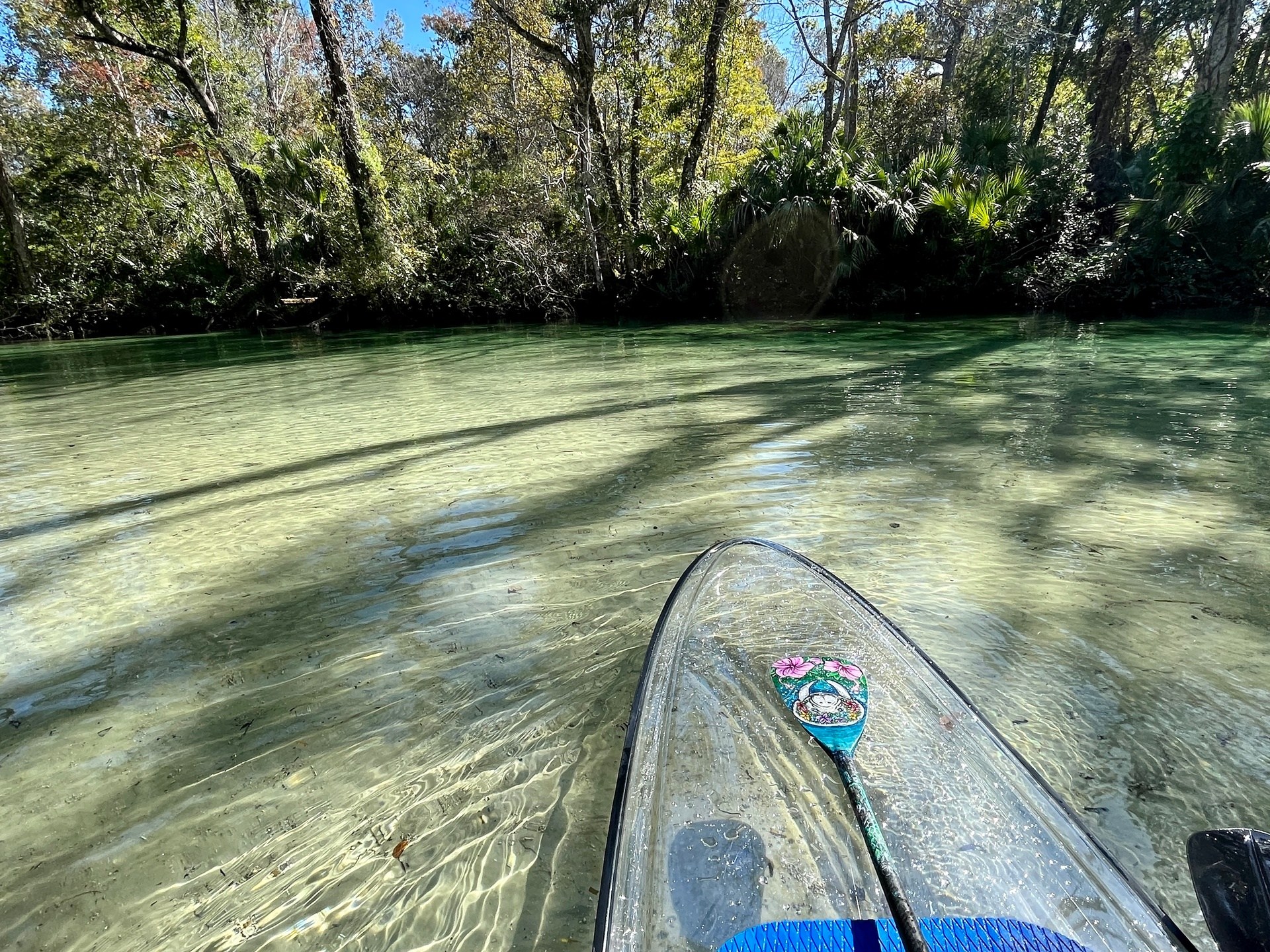 Weeki Wachee, FL Clear Kayak Tours | Get Up and Go Kayaking