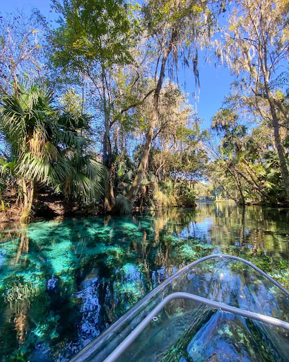 Silver Springs Tour (April - November) | Get Up And Go Kayaking