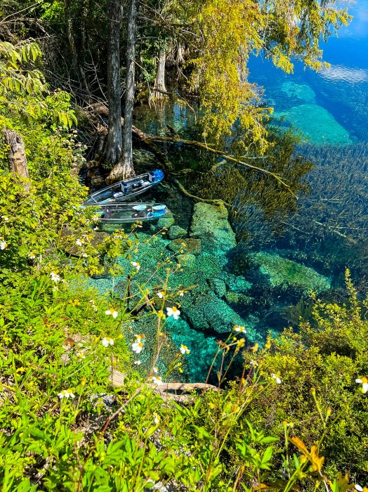 What Is Merritt’s Mill Pond? | Get Up And Go Kayaking