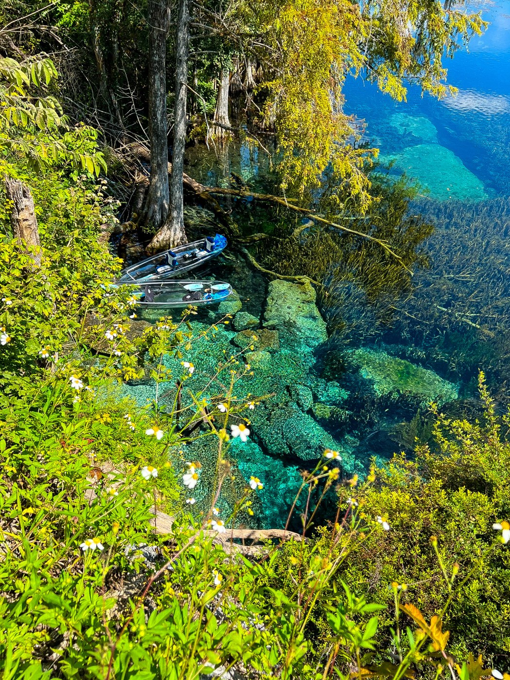 What Is Merritt’s Mill Pond? | Get Up And Go Kayaking
