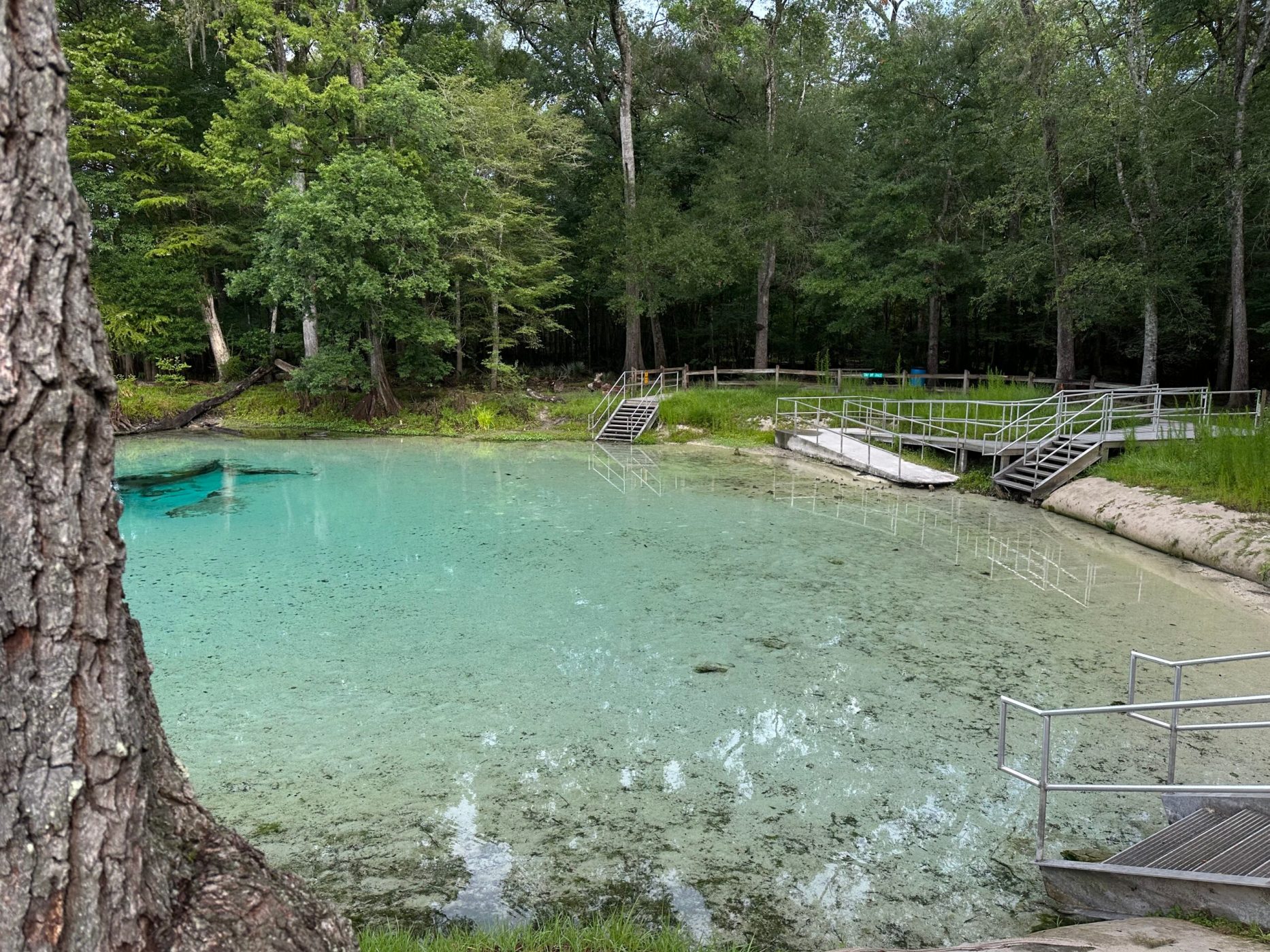 Exploring Gilchrist Blue Springs State Park When It’s At Capacity: A ...