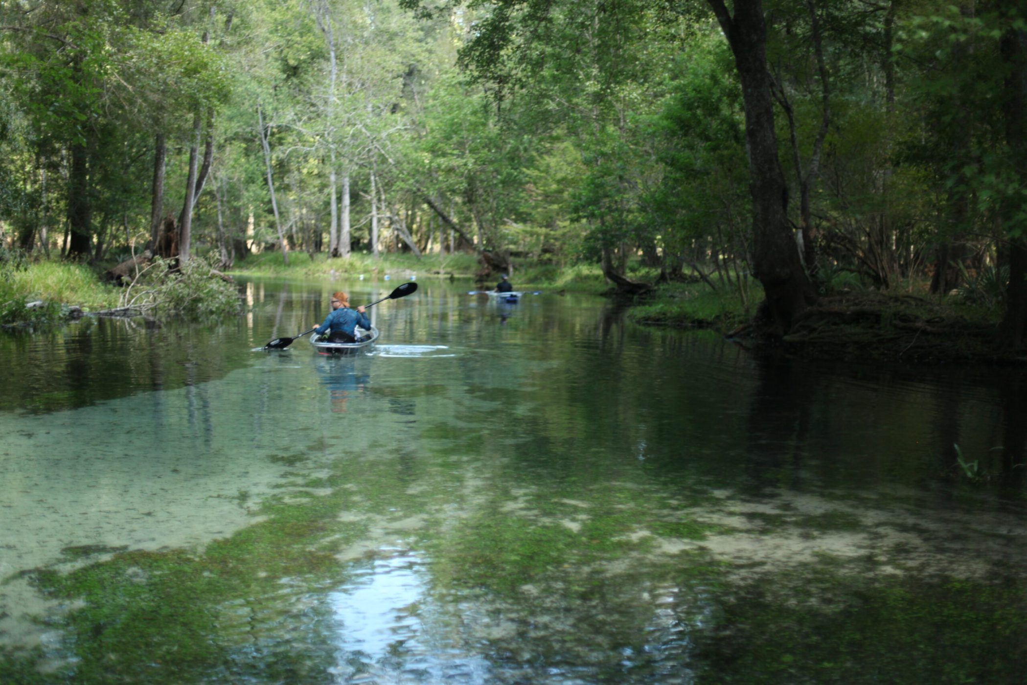 Gilchrist Blue Springs Private Tour | Get Up and Go Kayaking