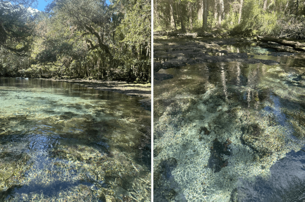 Discovering The Chaz River: Your New Favorite Hidden Gem Close To Tampa ...