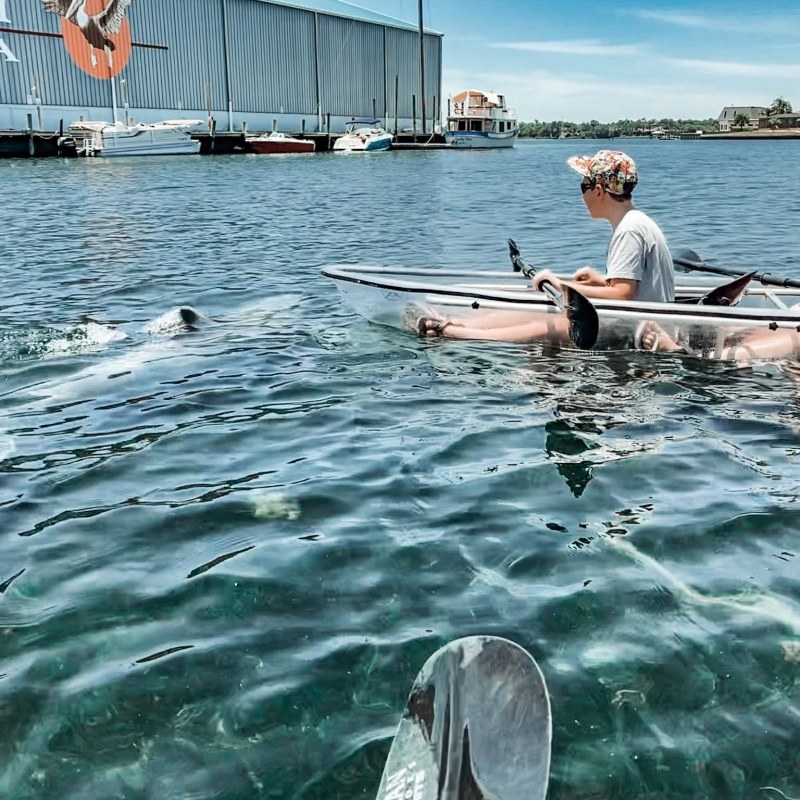 Crystal River, FL Clear Kayak Tours | Get Up and Go Kayaking