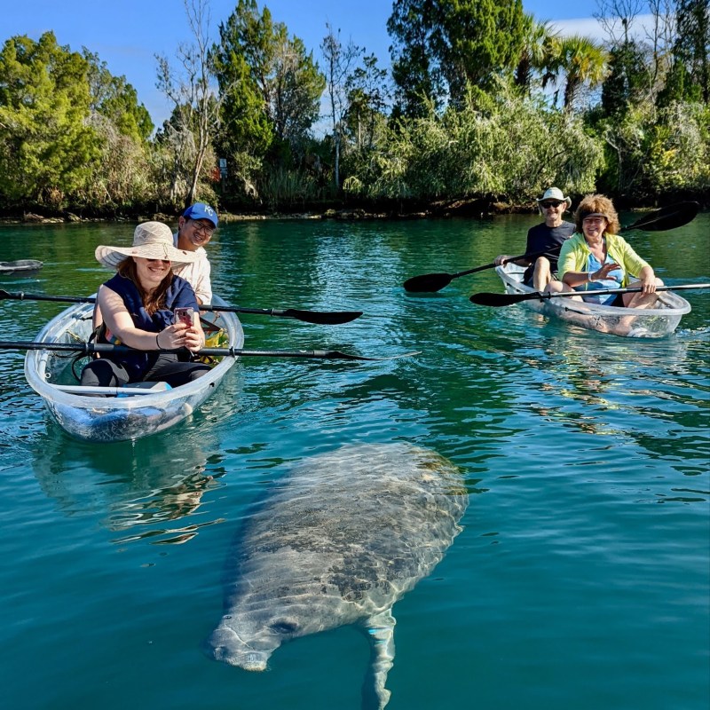 Crystal River, FL Clear Kayak Tours | Get Up and Go Kayaking