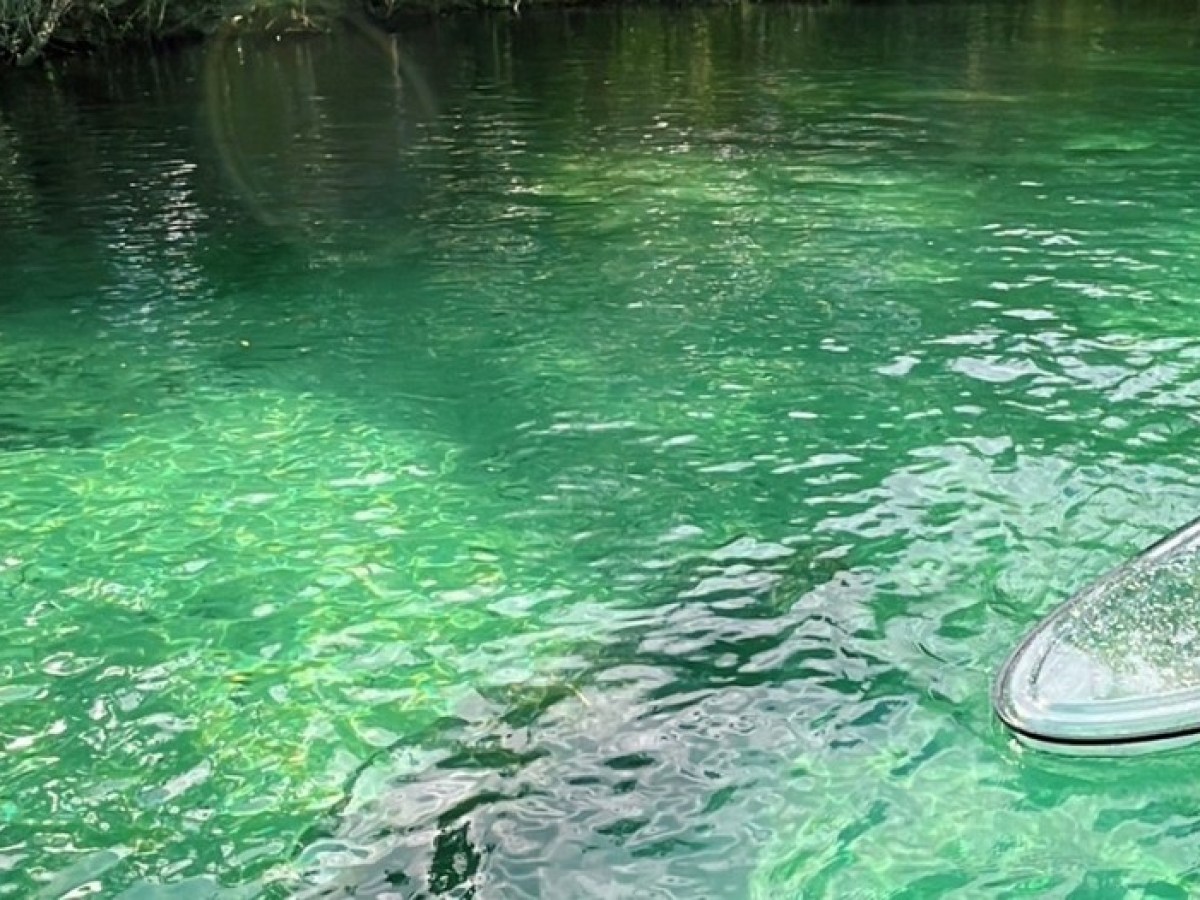 Weeki Wachee, FL Clear Kayak Tours | Get Up and Go Kayaking