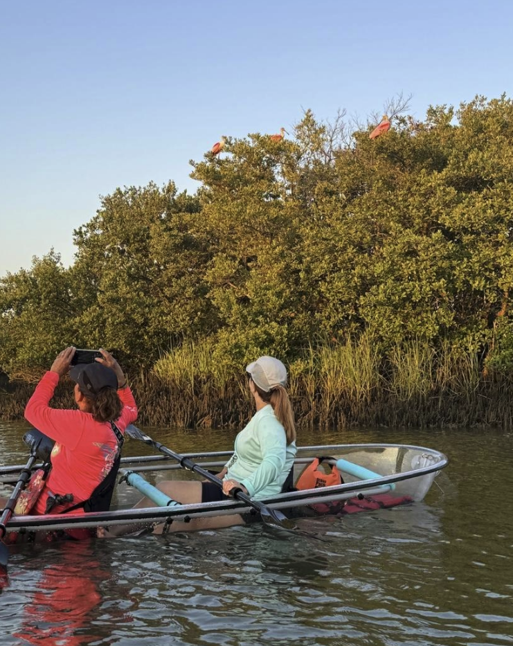 The Best Bird Watching In Florida | Get Up And Go Kayaking
