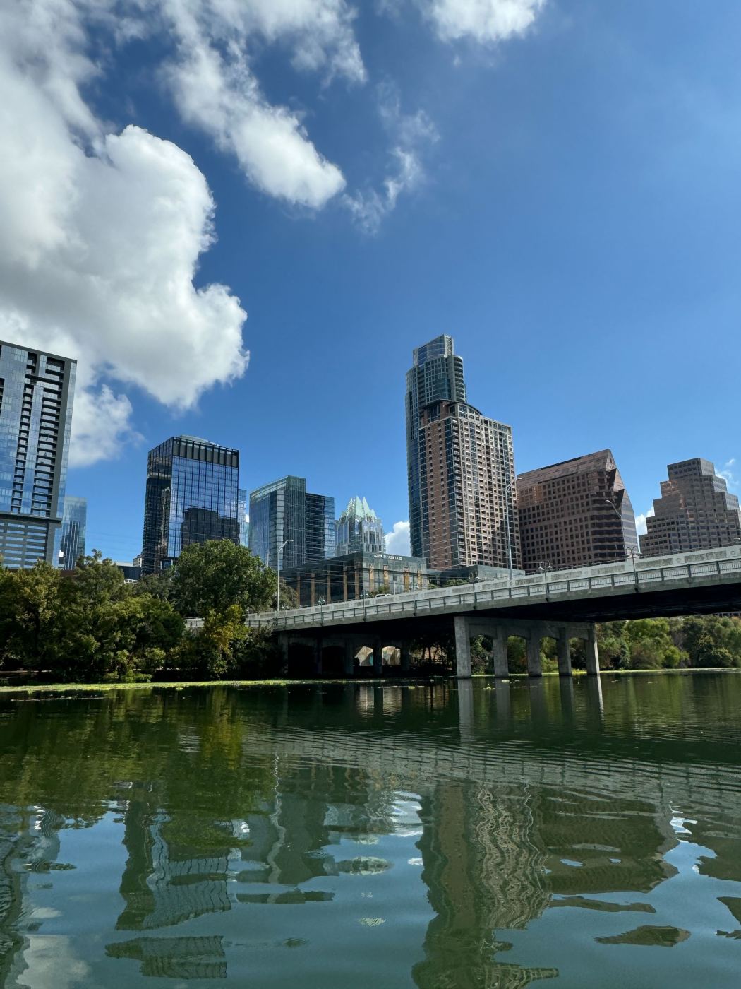 From Bats to Bridges: A Local’s Guide to Iconic Austin Sights You Can ...