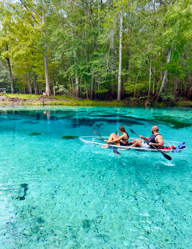 Gilchrist Blue Springs vs. Blue Spring State Park (Orange City): What’s ...