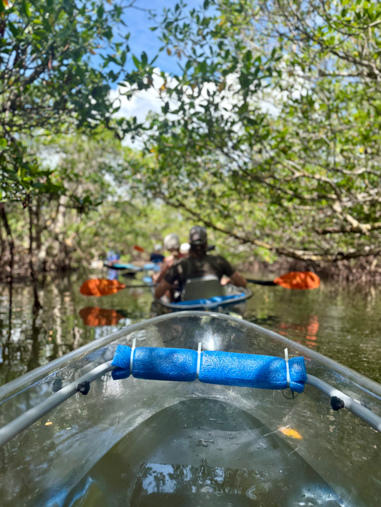 AI Asked: Where’s The Best Kayaking Spot In Vero Beach? Here’s Why It’s ...