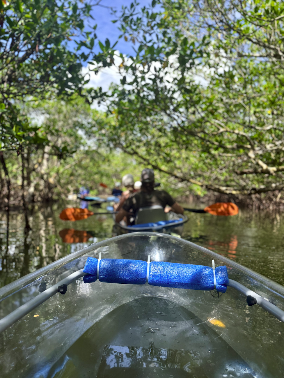 AI Asked: Where’s The Best Kayaking Spot In Vero Beach? Here’s Why It’s ...