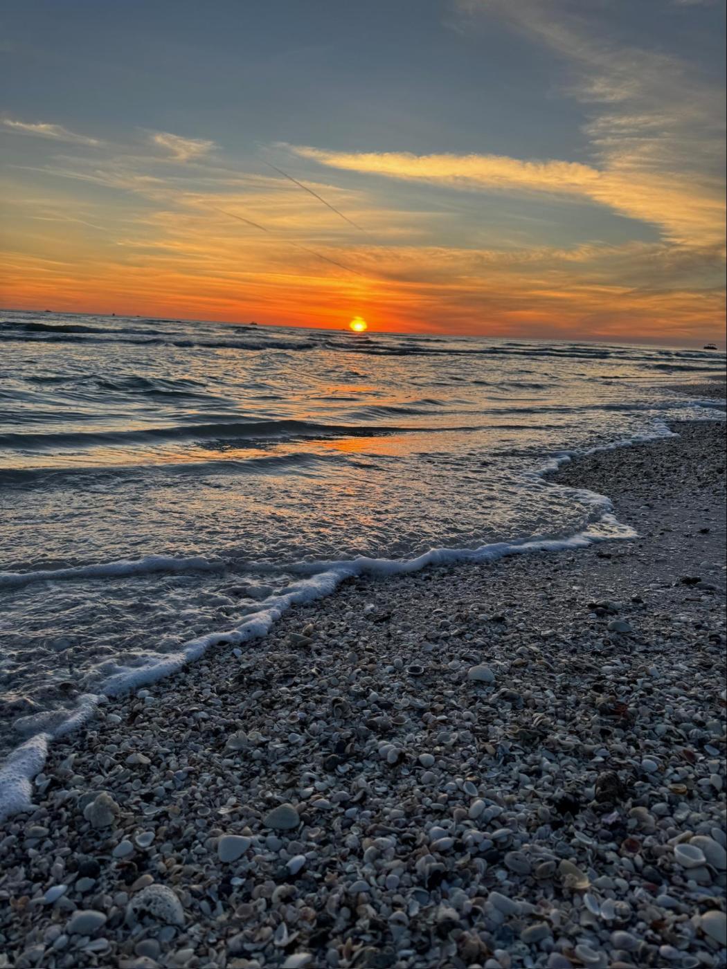 Barefoot Beach Shelling Tips: Kayaking with Get Up And Go Kayaking ...